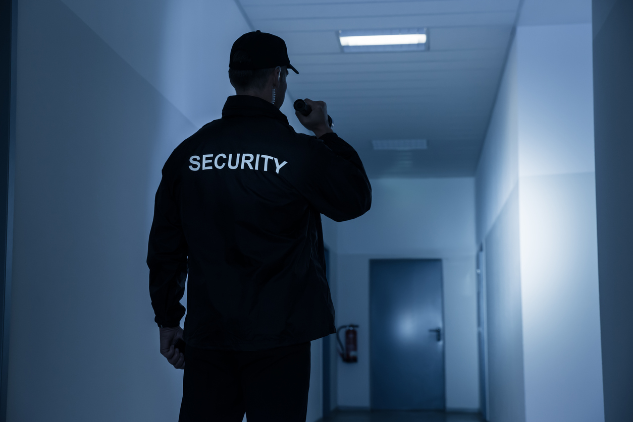 Security Torches and Flashlights